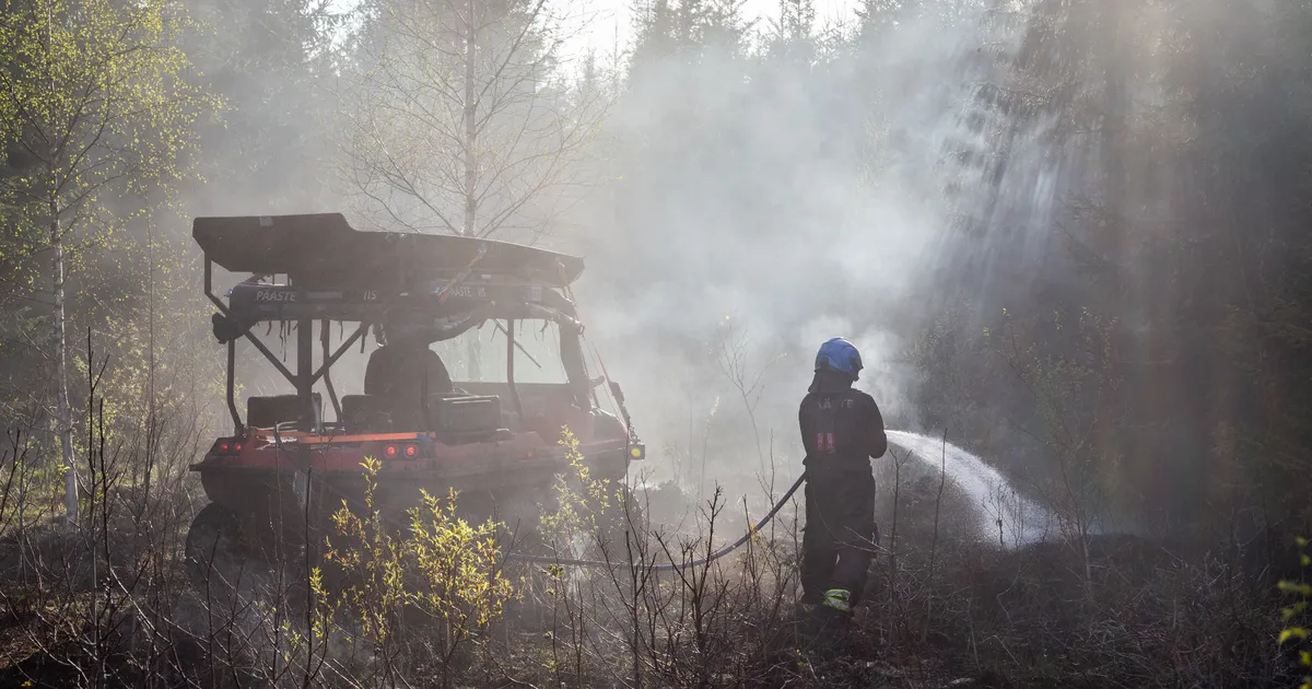 Homsest on keelatud looduses tule tegemine ja suitsetamine