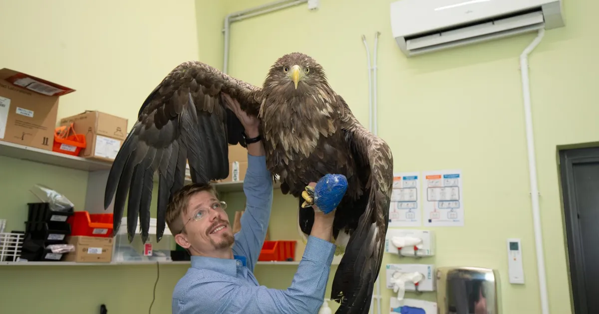 Loomaarst näeb oma patsientide pealt, kui hea on inimese tervis