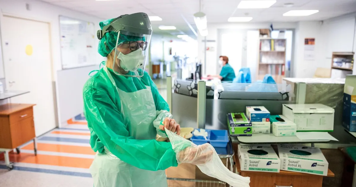 Officials disguised their arbitrary action with lies