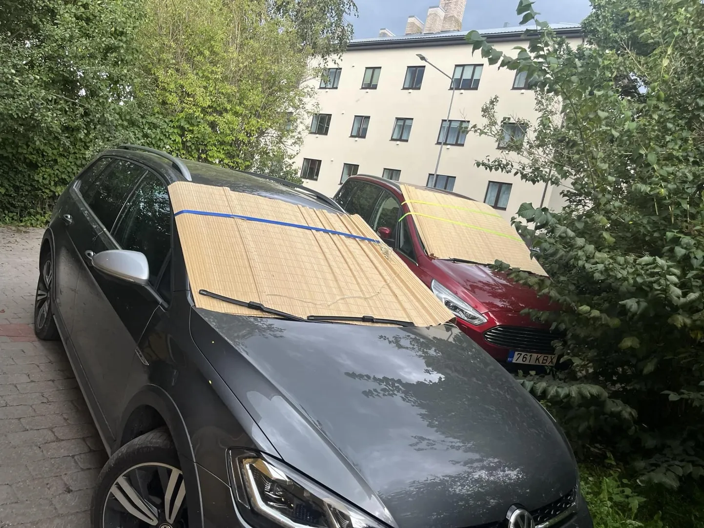 Vanadest ruloodest said autokaitsjad