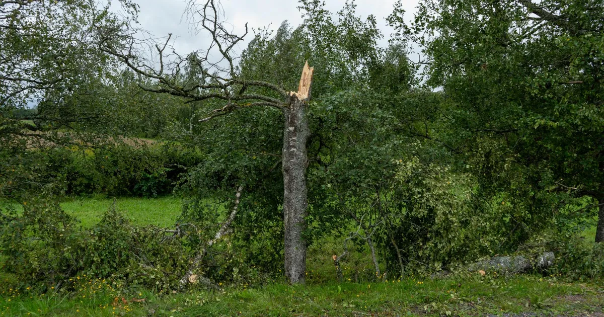 Hoiatus! Nädalavahetus tuleb tormine