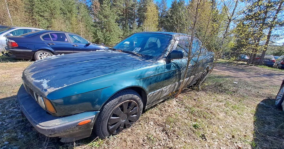 REPORTAAŽ Kasepuu juhiukse ees ja kadunud tagarattad. Koidula ...