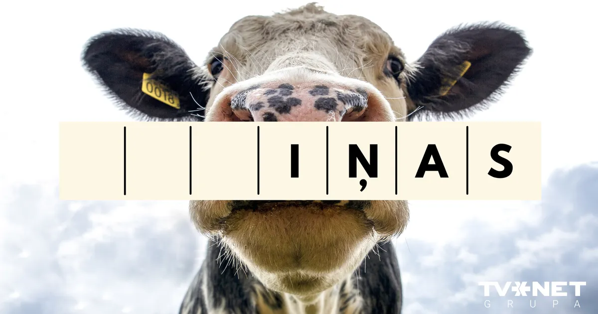 TESTS Vai zini, ar kādiem burtiem sākas šo piena produktu nosaukumi?