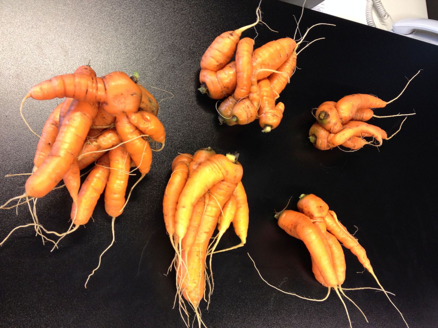 Porgandid kasvasid tänavu erakordselt jändrikud