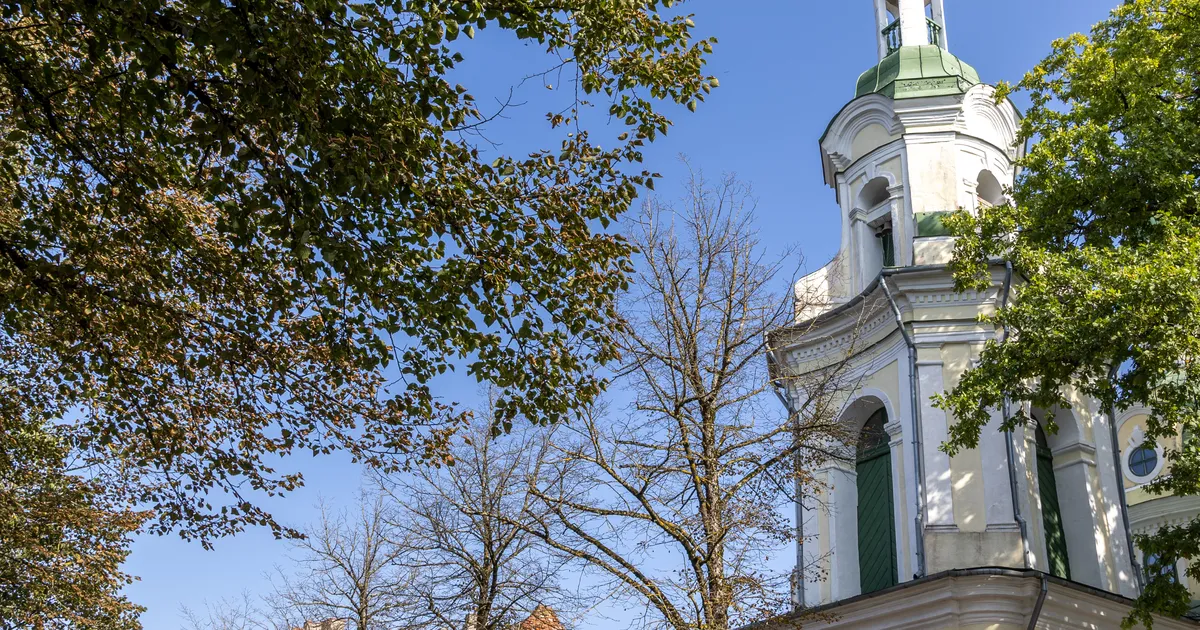 Pärnu tänavaid ääristavad surevad puud