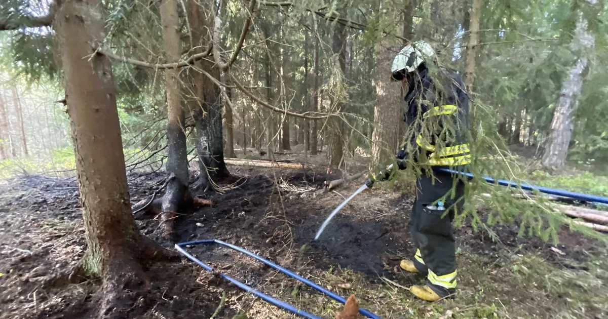 PILDID Tammiste kalmistu külje all põles mets