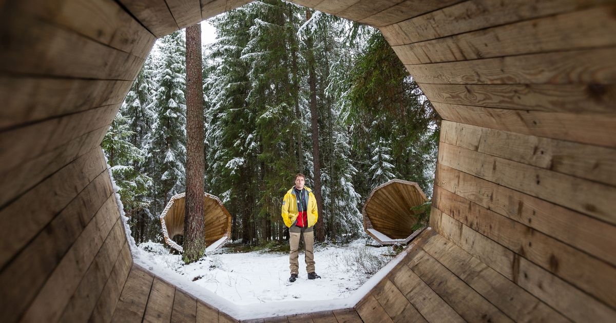 Alar Sikk: aeg näha puidu asemel puud - Eesti - Postimees: Värsked ...