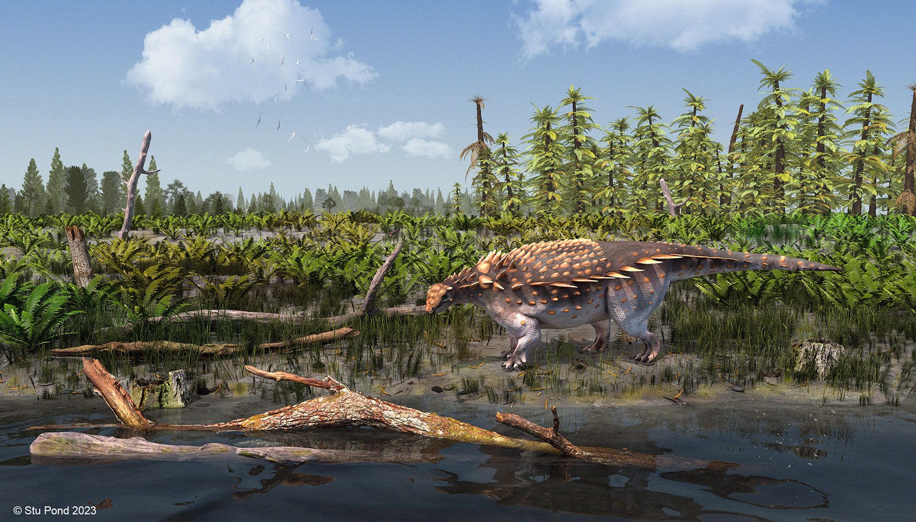 Atklāta jauna dinozauru suga