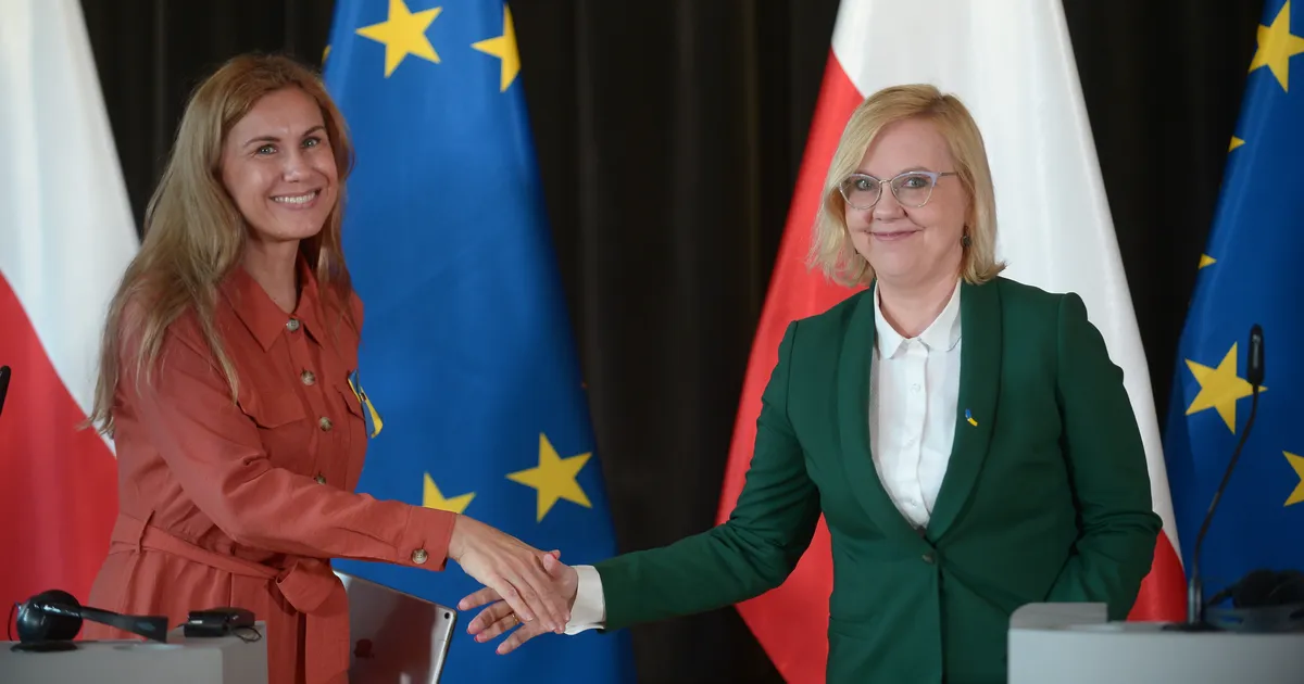 Simson avab pidulikult Leedu-Poola gaasitoru