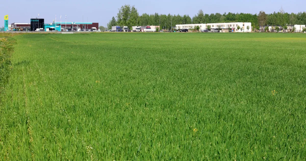 Ministeeriumist saadetud vigane abimees tekitas eelarvepuudujäägi