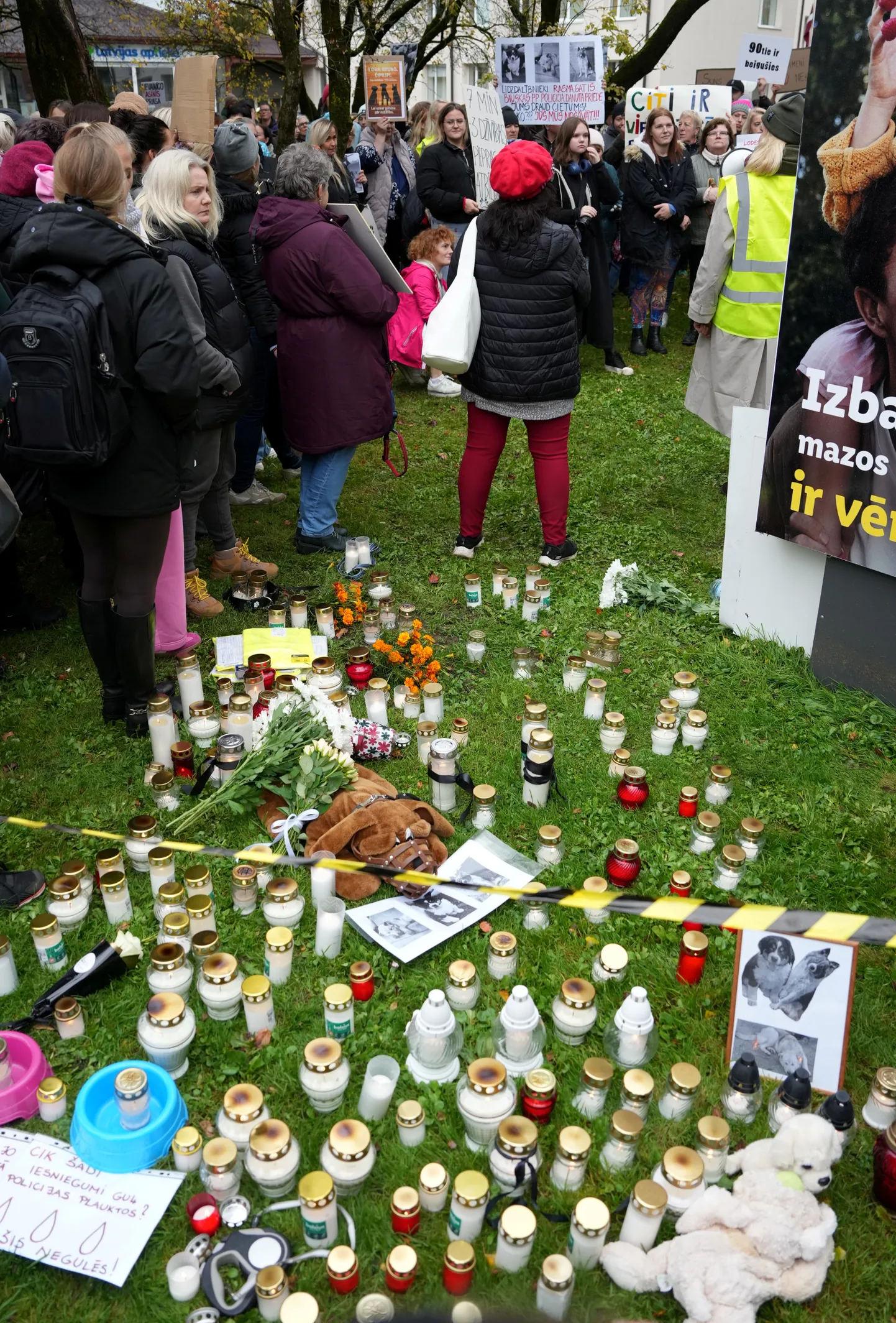 Общество ветеринарных врачей осуждает убийство собак, принадлежавших ...