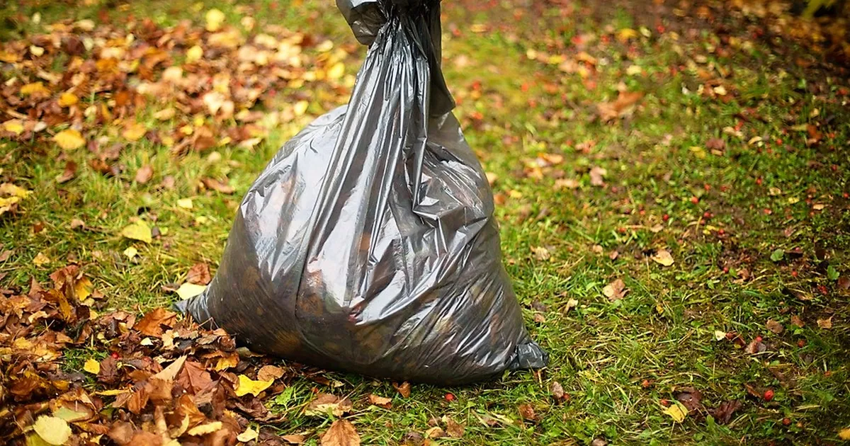 Lapsed leidsid maas vedelenud kilekotist midagi ehmatavat