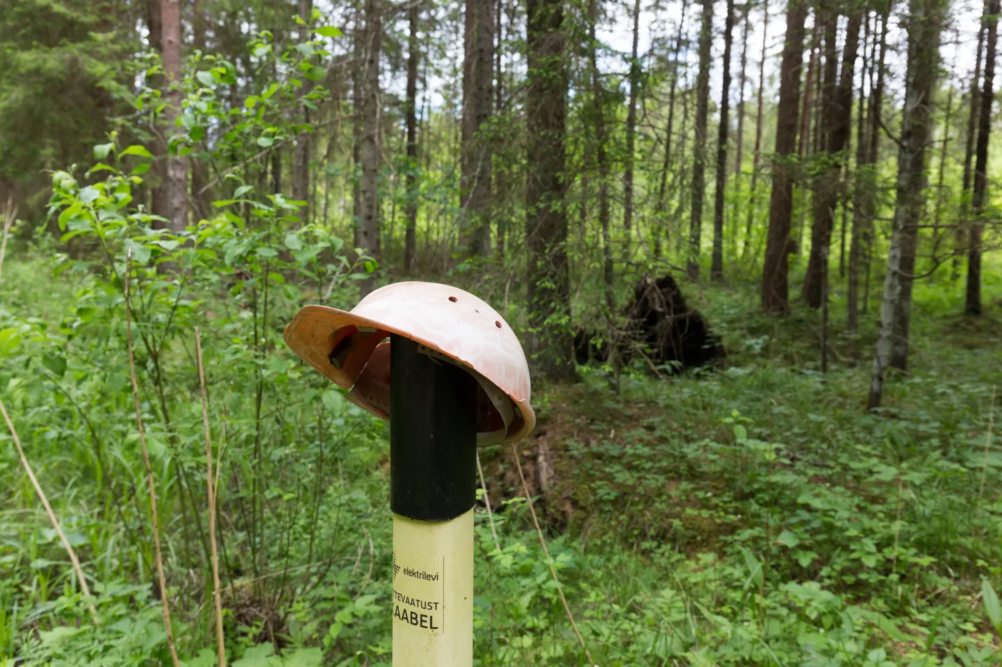 Peaministri sõnul lõpetab Elektrilevi Valgevene päritolu kaablite ...