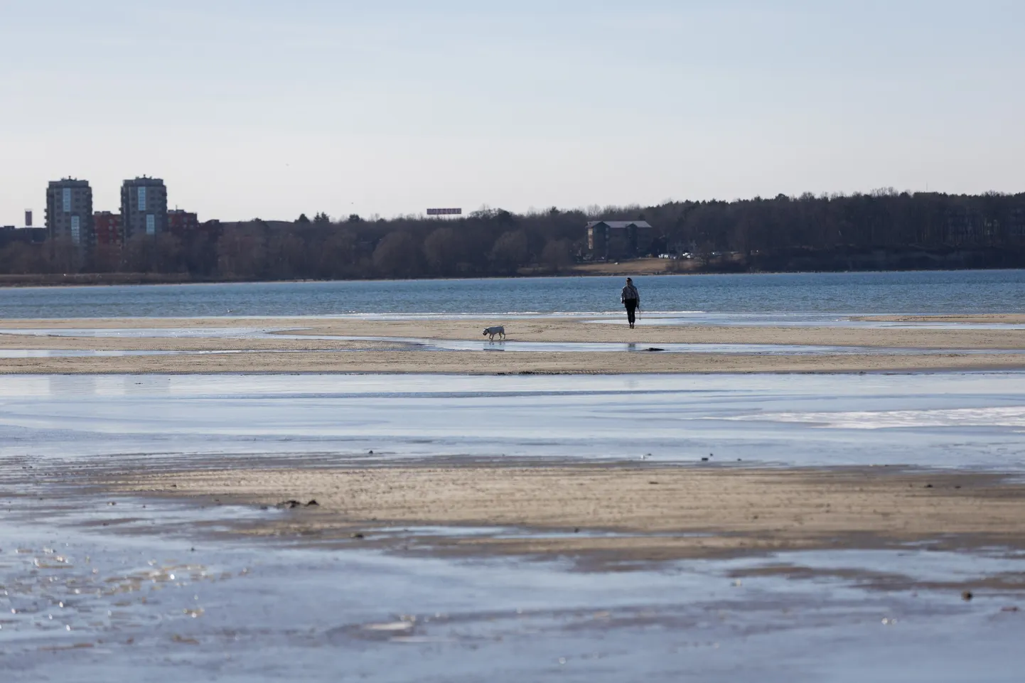 Kolmapäeval on kuni 6 kraadi sooja ja paiguti tibutab