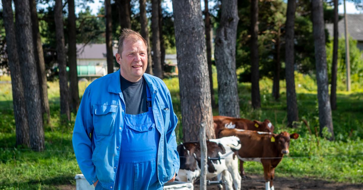 Meelis Sepp müüb oma piima piimatööstuse asemel DeliFoodile
