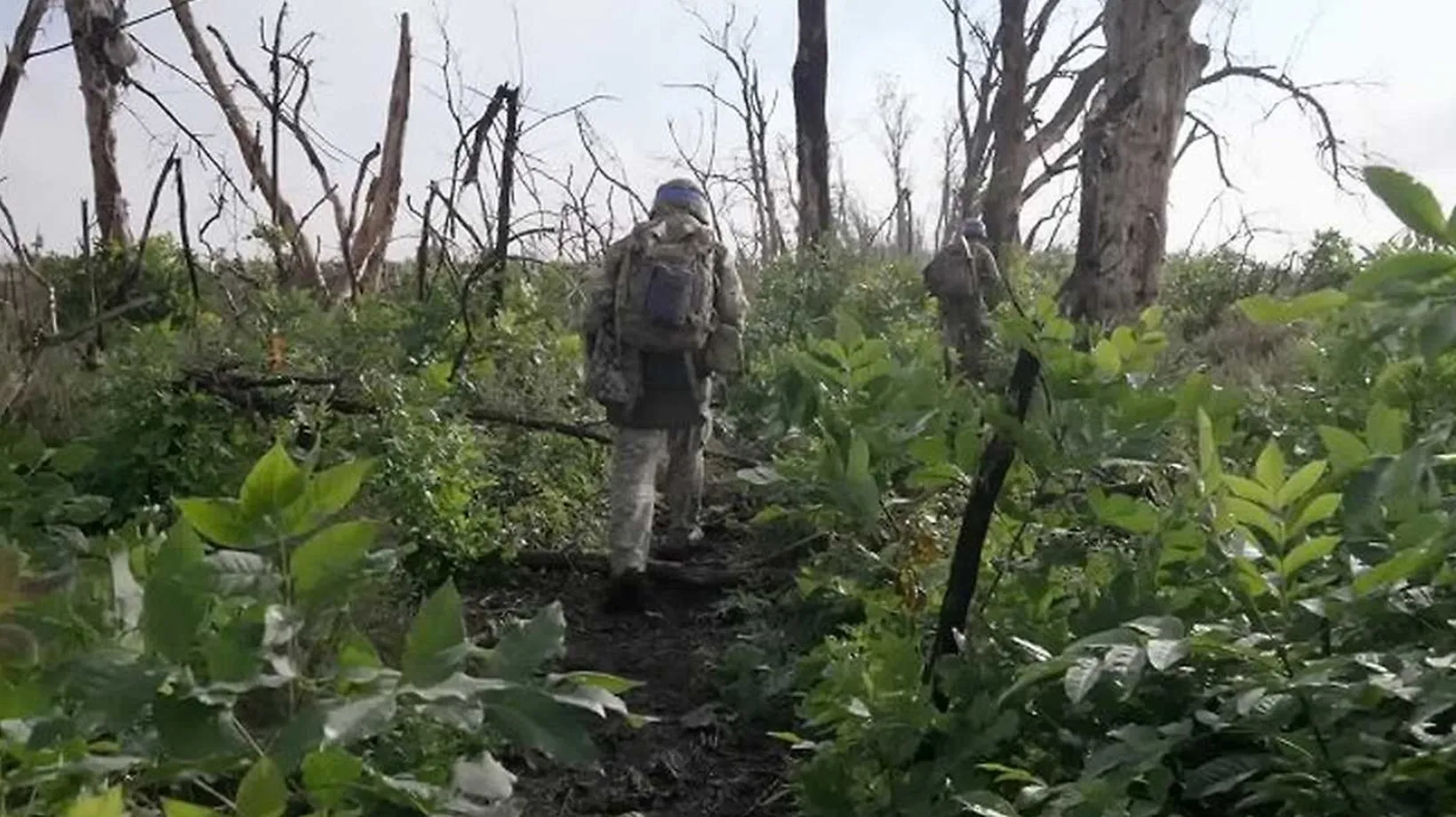 UKRAINE'S SEARING WAR DOCUMENTARY 2,000 Meters to Andriivka Affirms the ...