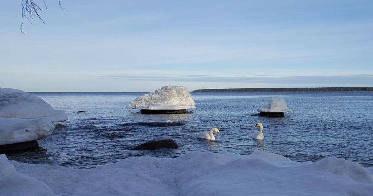 Piltuudis: luiged ja kivimürakad Käsmus