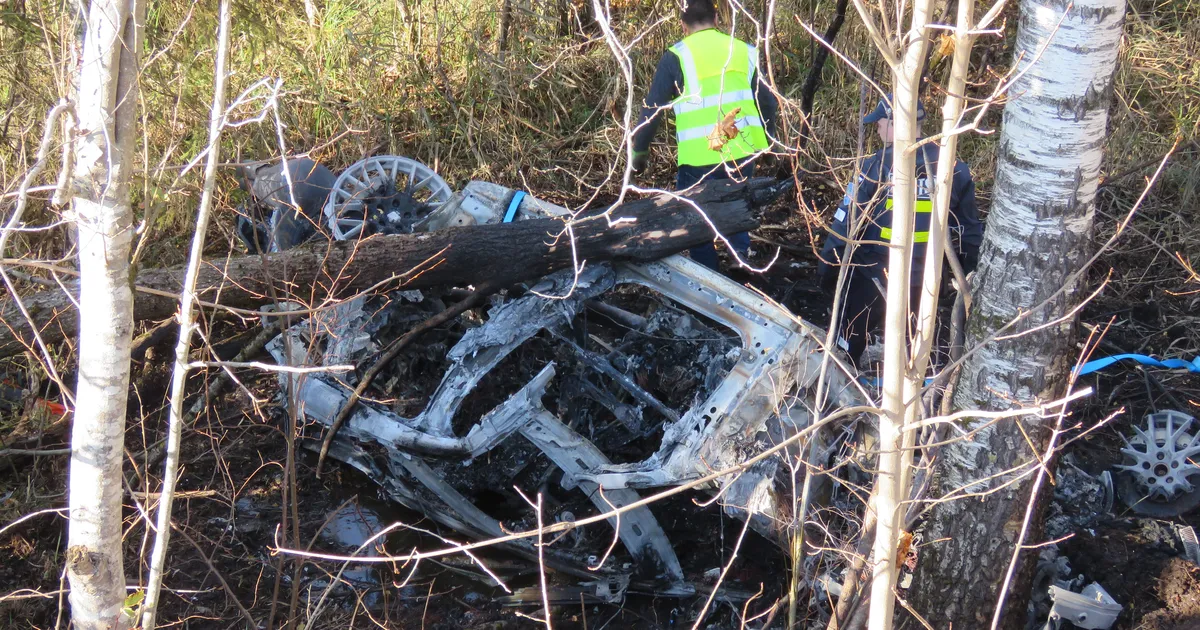 TOP20 Lõuna-Eesti Postimehe loetuimad lood aastal 2024