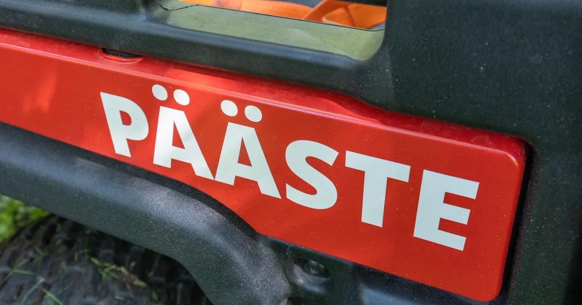 Küdemas kukkus puu sõitvale autole peale