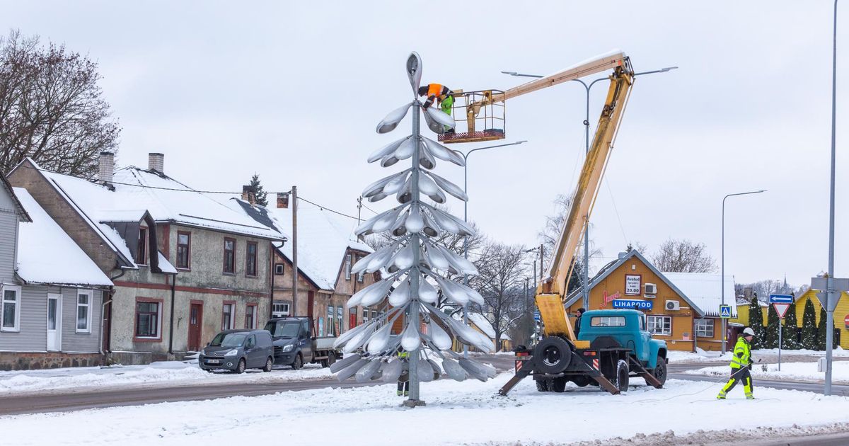 Lambikuusk hakkab taas linlaste rõõmuks särama
