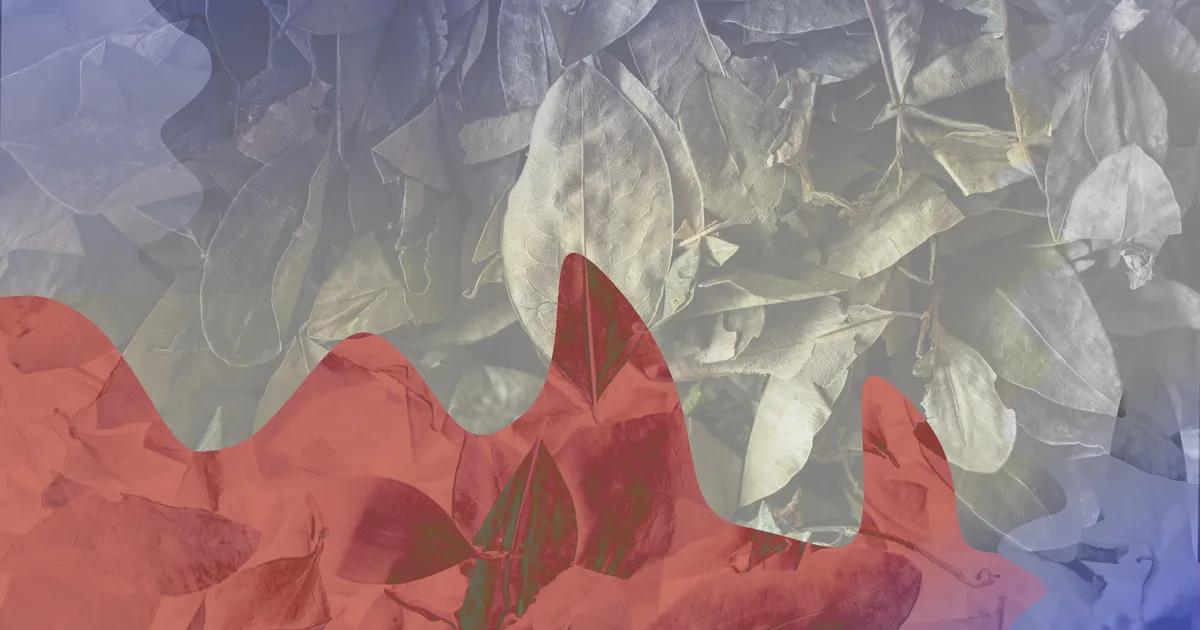 Colombia narkomaailm – korruptsioon, tapmised ja inimluude suitsetamine