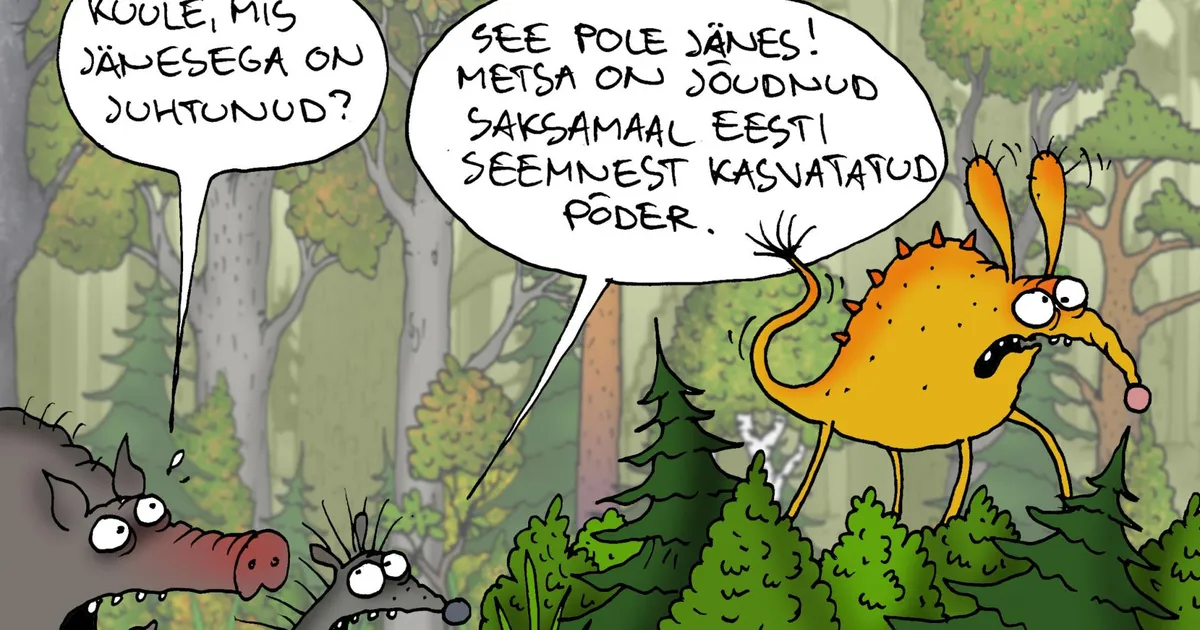 JUHTKIRI Pettusekahtlus, mis sunnib tõde välja selgitama