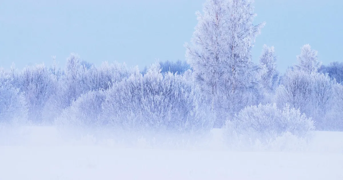 KENA TALVEILM Ilm läheb päev-päevalt aina krõbedamaks