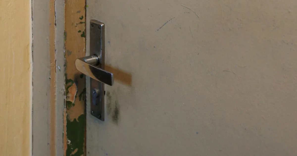 Naabrite argipäev: lämmatav suitsuhais ja jauravad joodikud