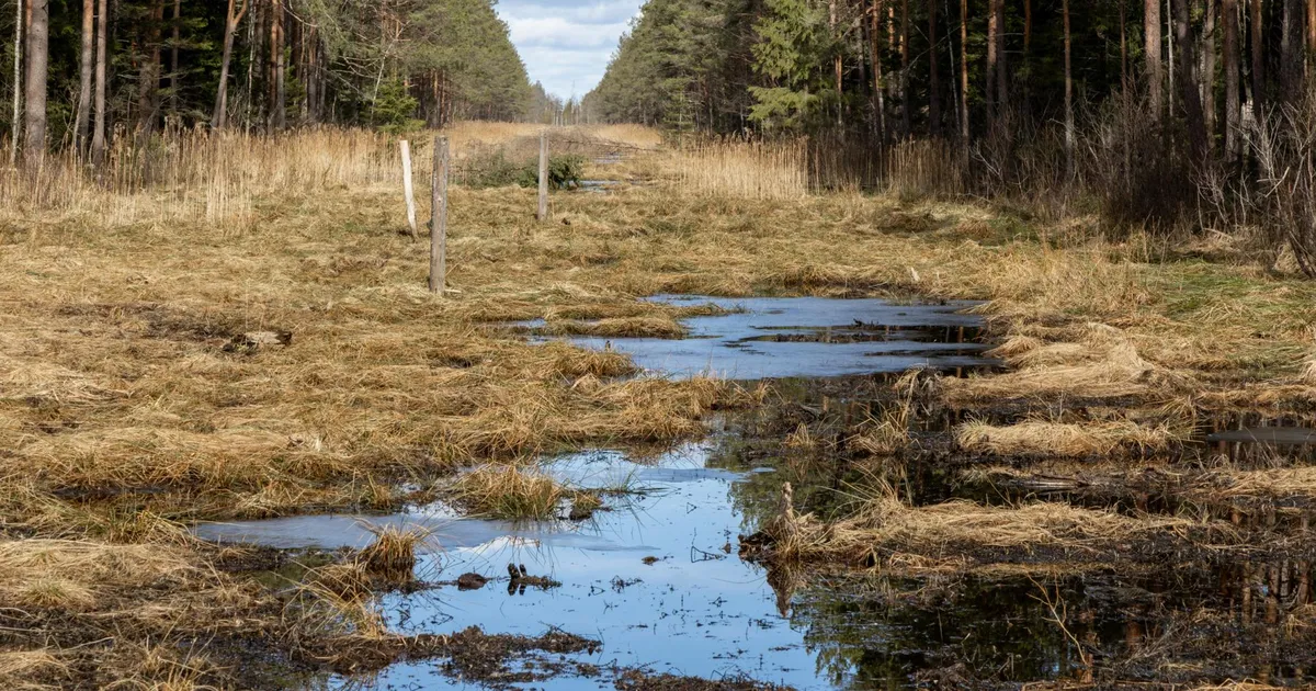 MARKO KILP Rabastamine aitab tõsta Eesti kaitsevõimet