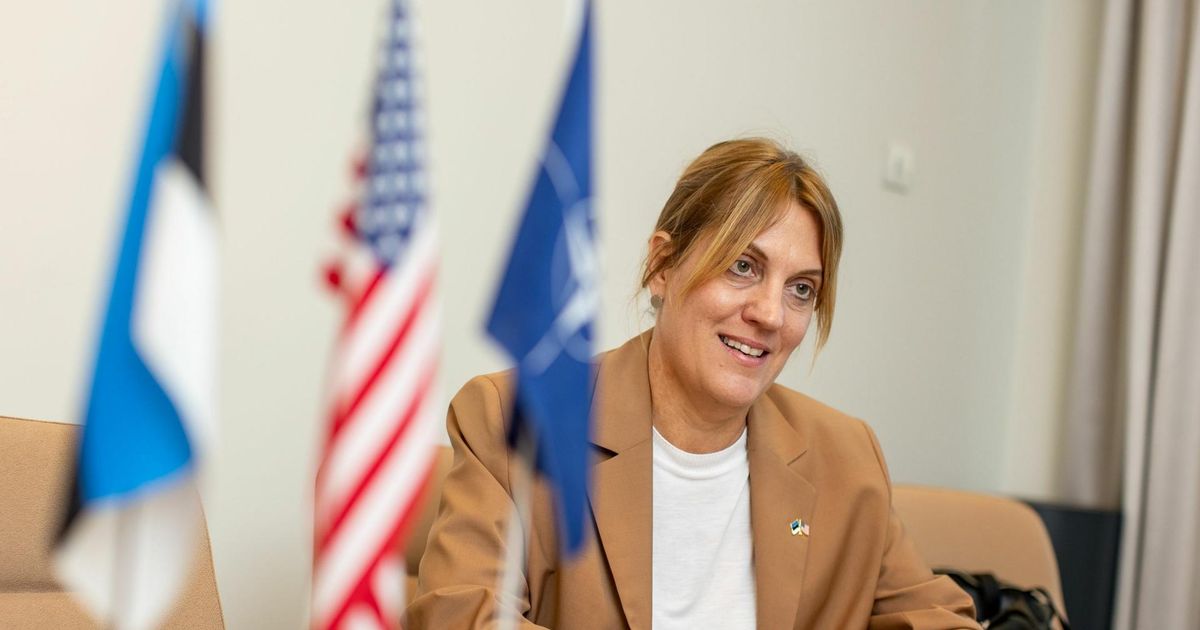 US diplomat at NATO: all allies could help Ukraine the way Estonia does
